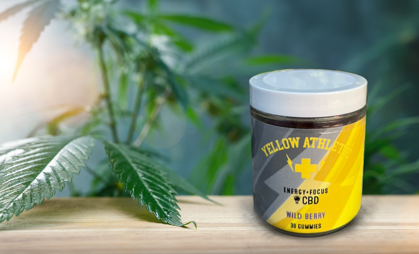 CBD Insights: Everything You Need to Know About Cannabidiol – Yellow ...